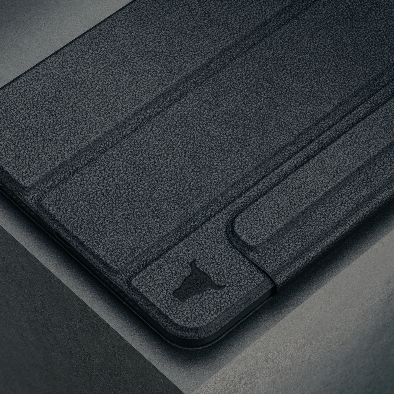 iPad Mini 7 Frameless Magnetic Leather Case (7th Gen, 2024) – TORRO